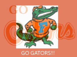 Go Gators Meme Sound Effect - Voicy
