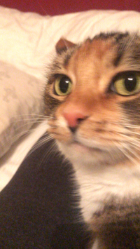 BEEPING Meme Sound Effect - Voicy