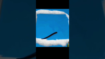 Leech vs Salt Scream Meme Sound Effect - Voicy