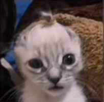 goofy ah sound Meme Sound Effect - Voicy