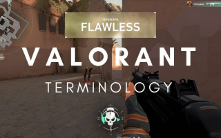 Valorant Flawless 1 Meme Sound Effect - Voicy