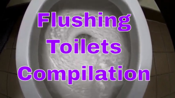 Toilet Flushing SFX 19 Meme Sound Effect - Voicy