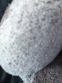 UwU OwO WoW Meme Sound Effect - Voicy