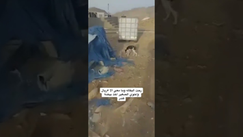 egg sdfsdf Meme Sound Effect - Voicy