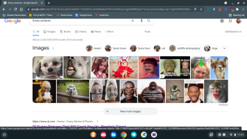 HEY LOOK OVER HERE Meme Sound Effect - Voicy