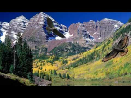 Sokoly Sounds and Sound Effects - Voicy