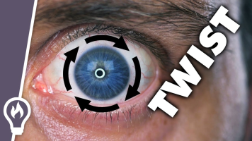 Weird evolutionary history of eye rotation Meme Sound Effect - Voicy