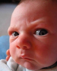 buttah dog Meme Sound Effect - Voicy