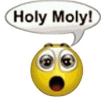 holy moly Meme Sound Effect - Voicy