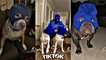 they thought ui was crip Meme Sound Effect - Voicy