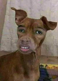 ymca distorted Meme Sound Effect - Voicy