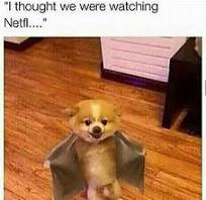 lethal company boogie down Meme Sound Effect - Voicy