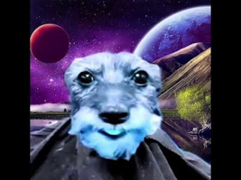 brainrot Meme Sound Effect - Voicy