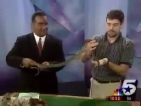 WTF Meme Sound Effect - Voicy