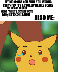 Yes of course it scared me Meme Sound Effect - Voicy