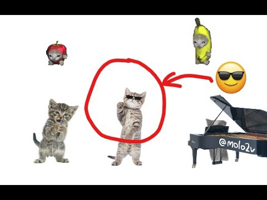 ALL MY FELLAS Meme Sound Effect - Voicy