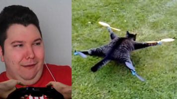 cat copter Meme Sound Effect - Voicy