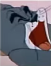 Tom Scream Meme Sound Effect - Voicy