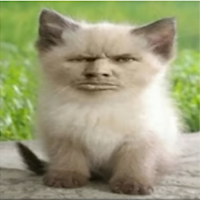 this is j3vu Meme Sound Effect - Voicy