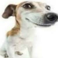 why so feinous Meme Sound Effect - Voicy