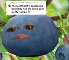 Beatboxing Blueberry Meme Sound Effect - Voicy