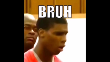 Animals (Bruh remix) Meme Sound Effect - Voicy