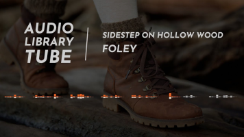 Sidestep On Hollow Wood Meme Sound Effect - Voicy