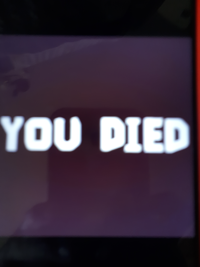 Doors "YOU DIED!" Meme Sound Effect - Voicy