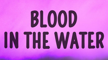 Blood//water (I accidentally cut this part😭) Meme Sound Effect - Voicy