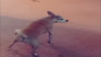 1 hour pee pee poo poo check Meme Sound Effect - Voicy