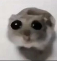 restless dream Meme Sound Effect - Voicy