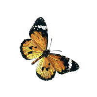 ipp Meme Sound Effect - Voicy