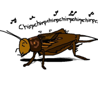 Price Is Right loser sound Meme Sound Effect - Voicy