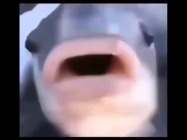 ahh ahh Meme Sound Effect - Voicy