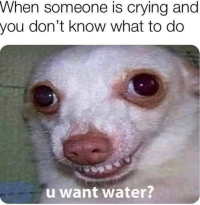 Get Beamed N word Meme Sound Effect - Voicy