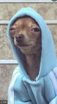 this song made alex cry lol Meme Sound Effect - Voicy