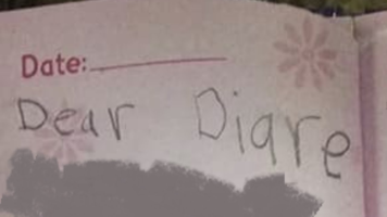 dear diary- Meme Sound Effect - Voicy