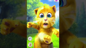Talking Ginger cat Meme Sound Effect - Voicy