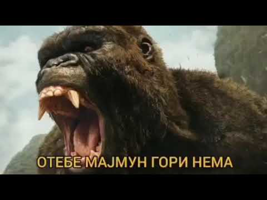 Majmun Meme Sound Effect - Voicy