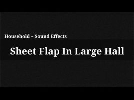 Sheet Flap In Large Hall Meme Sound Effect - Voicy