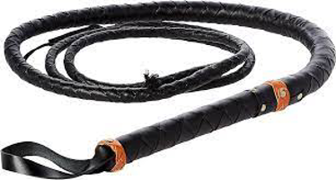 Whip sound Meme Sound Effect - Voicy