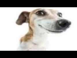 whenimechainthesuma Meme Sound Effect - Voicy