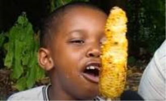 it corn🌽 Meme Sound Effect - Voicy