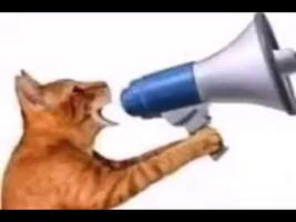 LEVANTANSEEEEE *trumpet* Meme Sound Effect - Voicy