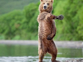Watch me whip Meme Sound Effect - Voicy