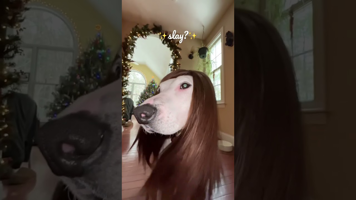 slay Meme Sound Effect - Voicy