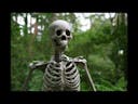 Skeleton Meme Sounds and Sound Effects - Voicy