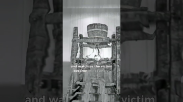 Torture Meme Sound Effect - Voicy