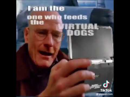 waltuh put your ds away waltuh Meme Sound Effect - Voicy