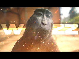 The animal's rizz Meme Sound Effect - Voicy